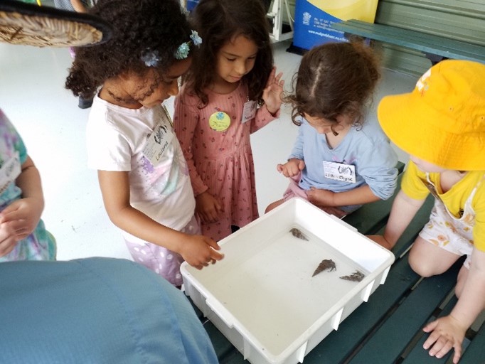 Our Learning on Country Day. – Koobara Kindergarten and Pre-prep ...