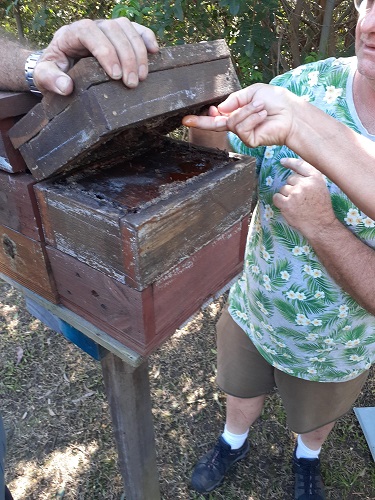 Koobara’s Bush Tucker Garden – Koobara Kindergarten and Pre-prep ...
